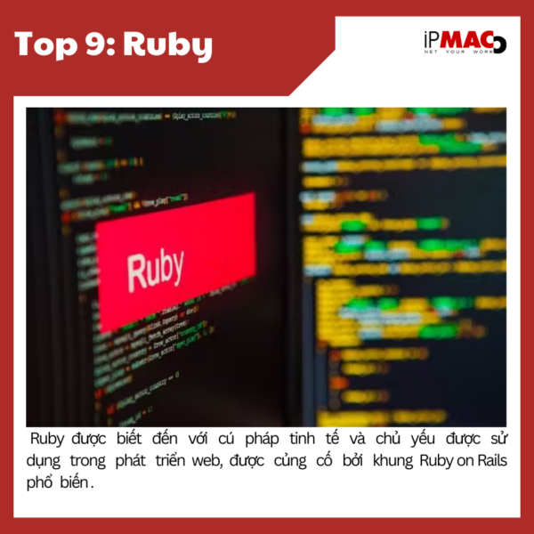 Top 10 ngôn ngữ lập trình hàng đầu trên GitHub năm 2023